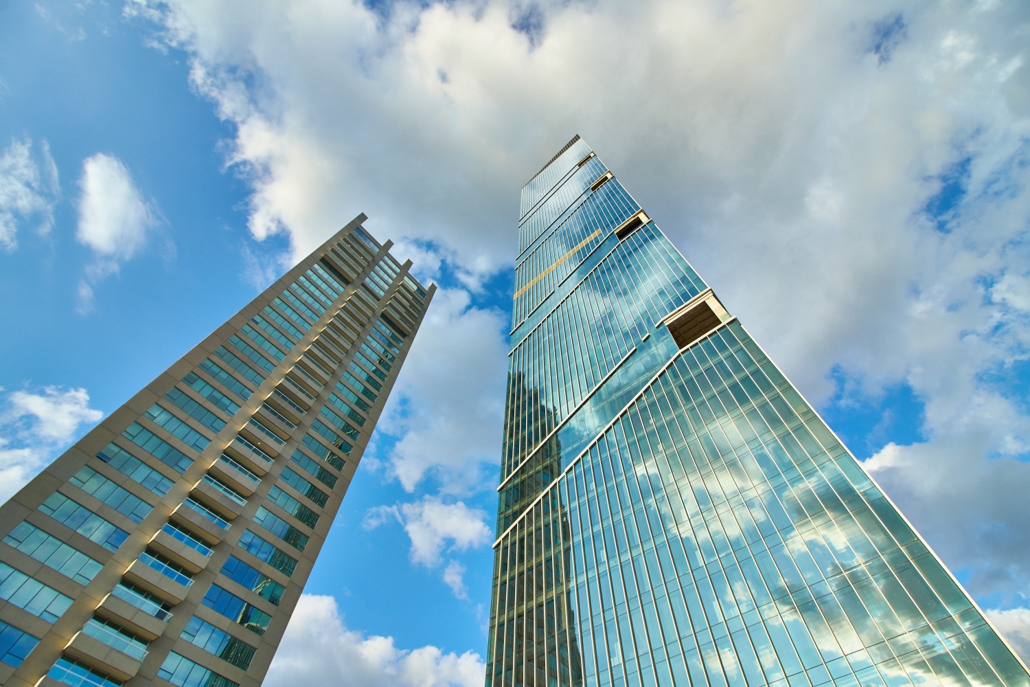 THREE | Environmental Consulting | Mexico & USA | Torres Obispado (T.OP)